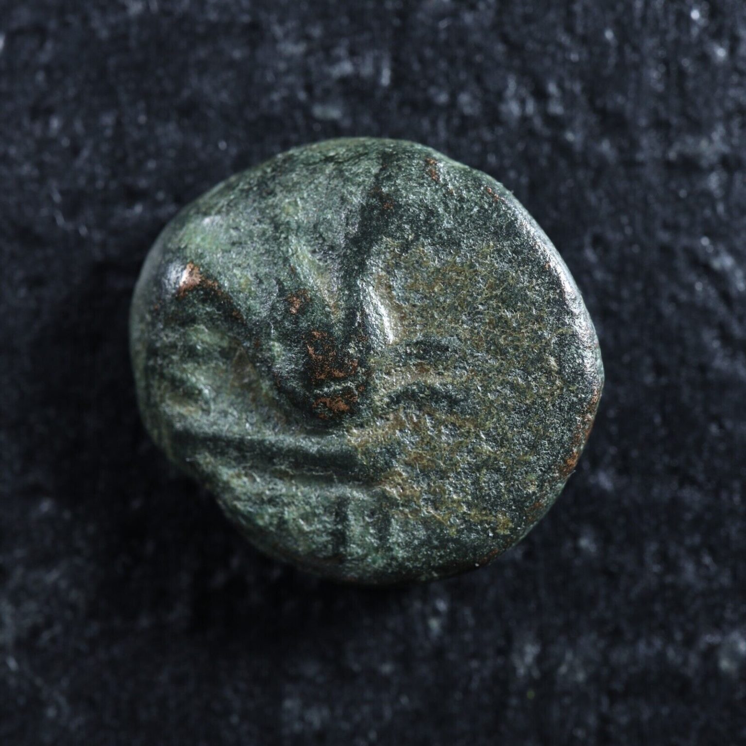 Abdera Thrace AE13 C. -311 to -280 Apollo Griffin – Jetons Canada