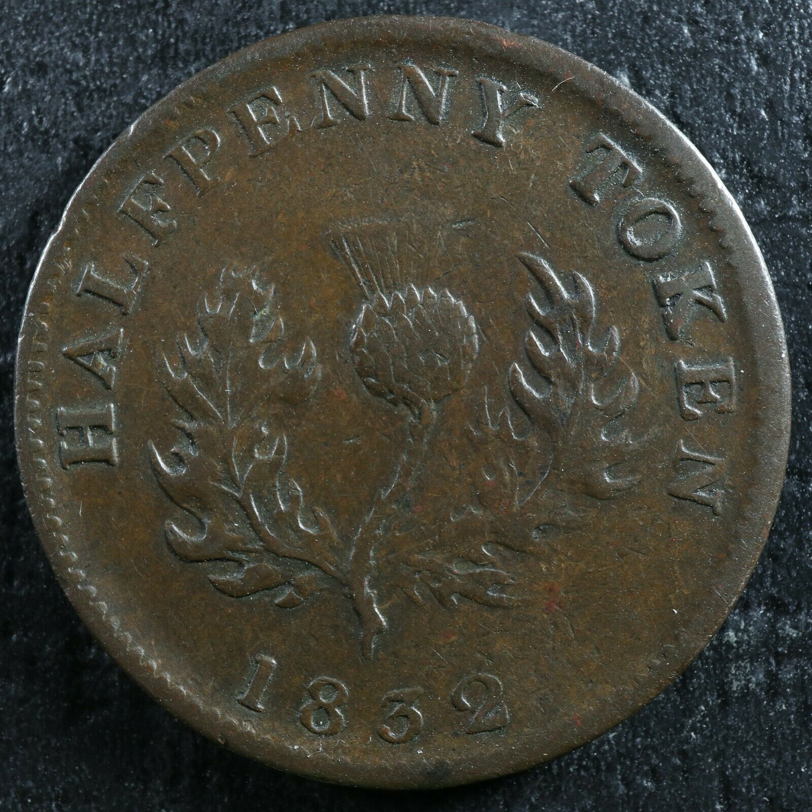 NS-1D2 Halfpenny 1832 Canada token Nova Scotia Thistle Breton 871 – Jetons Canada
